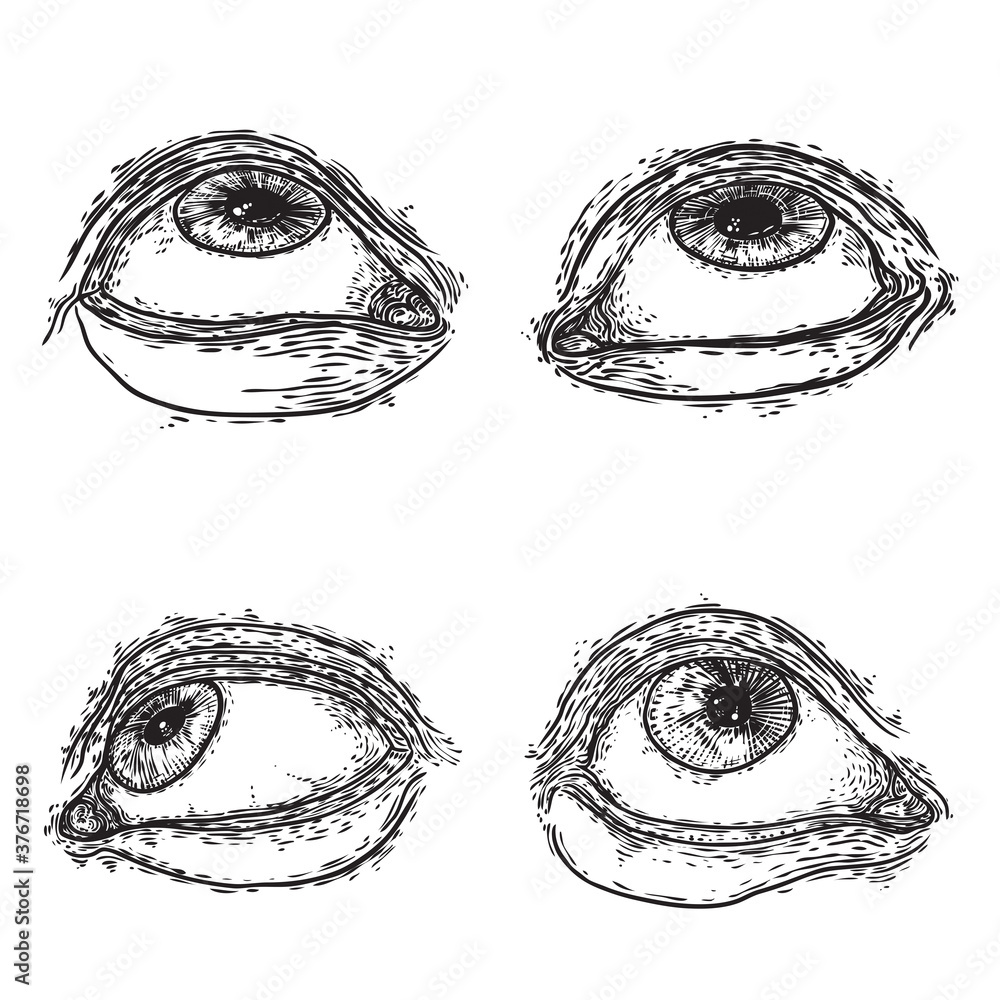 Set of various drawing of the human eye in different direction and ...