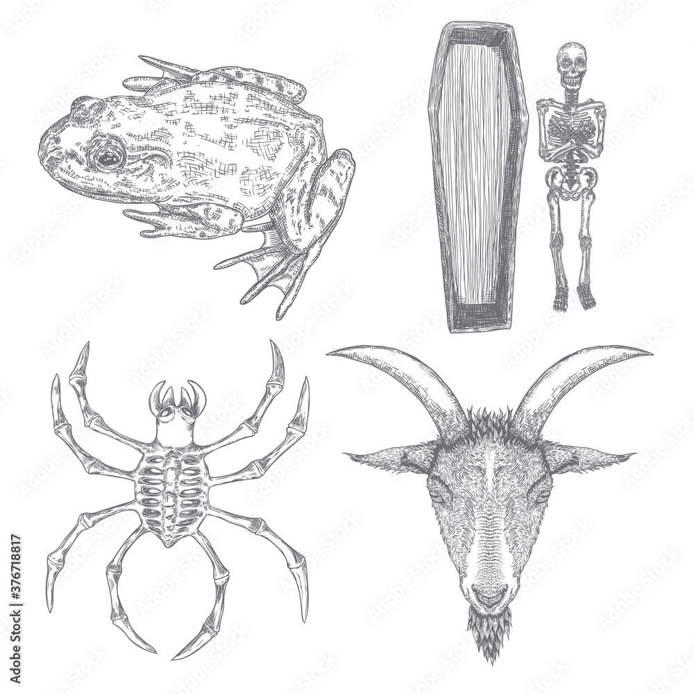 Magic animal elements set. Hand drawn sketch for magician collection ...