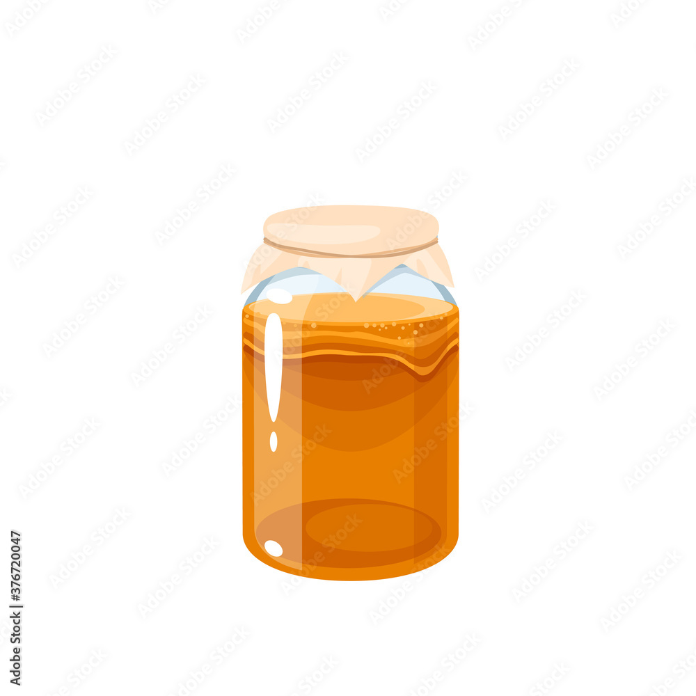 Kombucha fermented tea in glass jar. Vector illustration flat cartoon ...