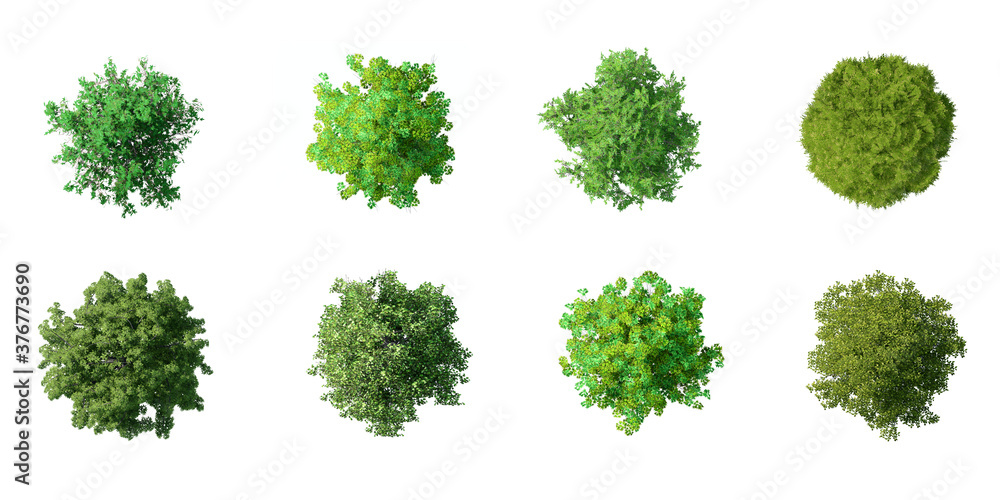 Collection of 3D tree top view isolated on white background, Use for ...