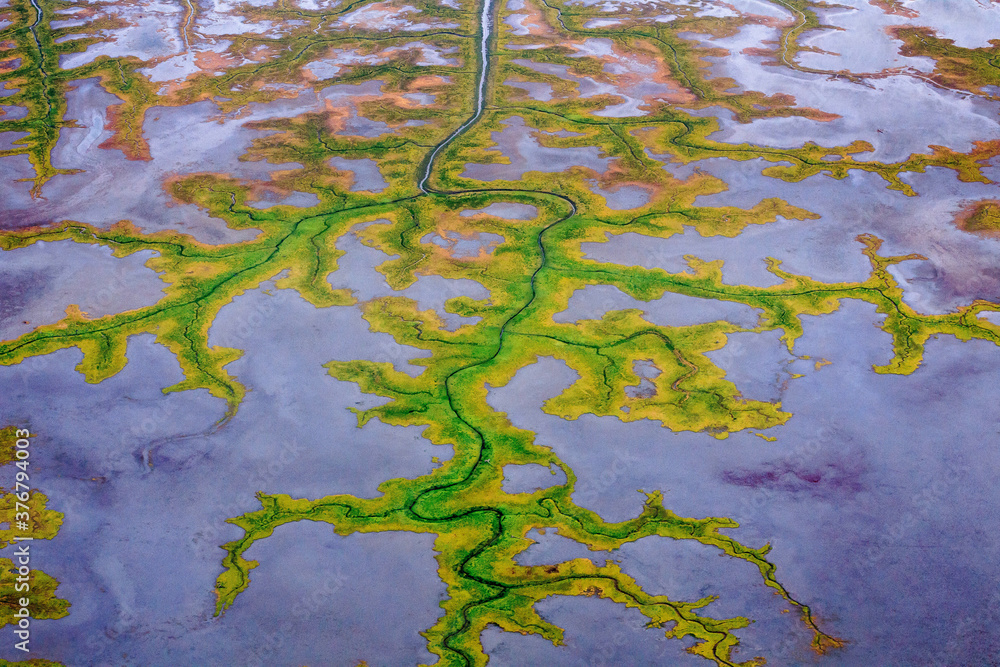 Tide line along Cook Inlet in Lake Clark National Park and Preserve ...