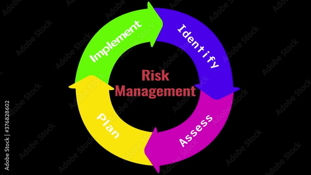risk management process chart with alpha channel Stock Video | Adobe Stock