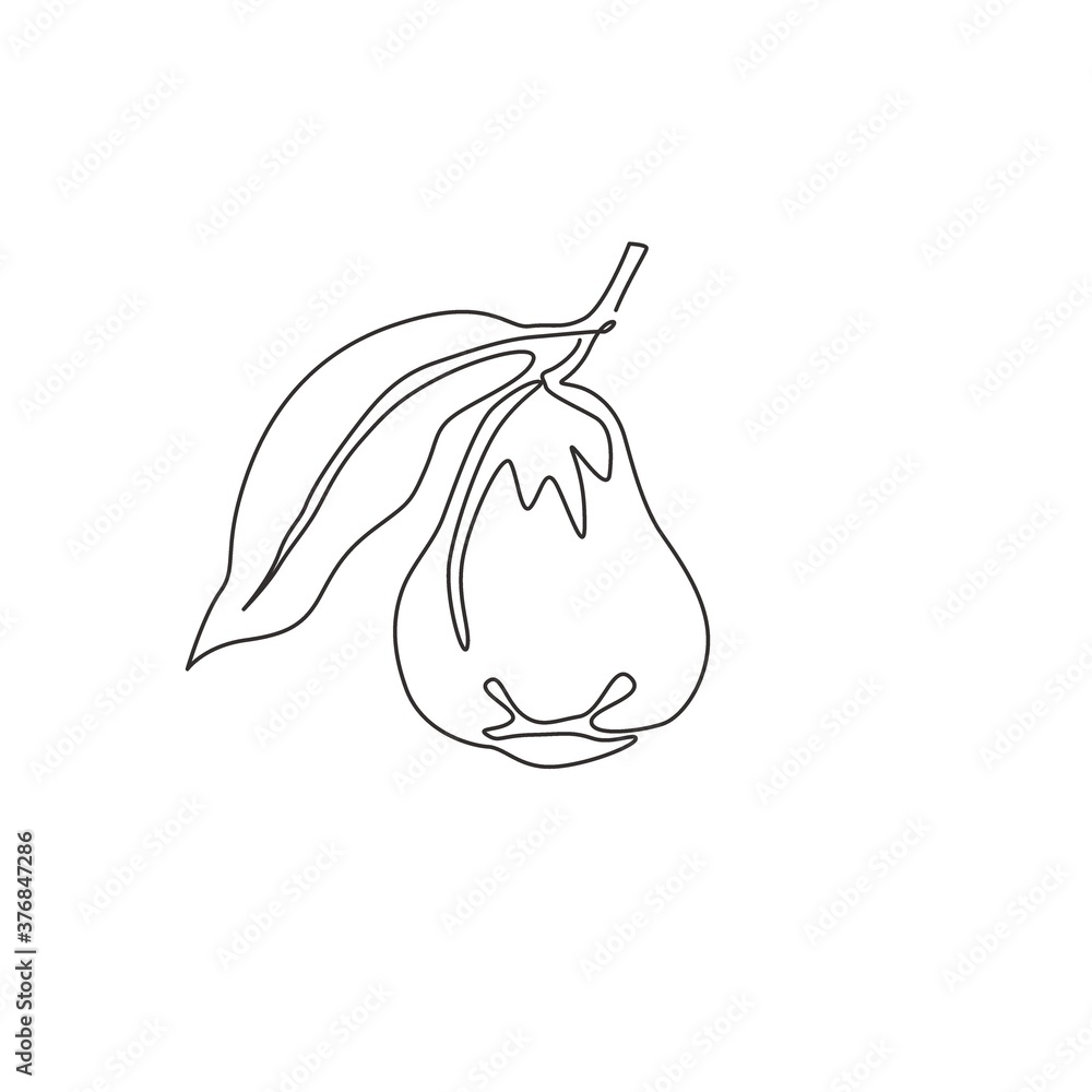 One single line drawing of whole healthy organic bell fruit for orchard ...