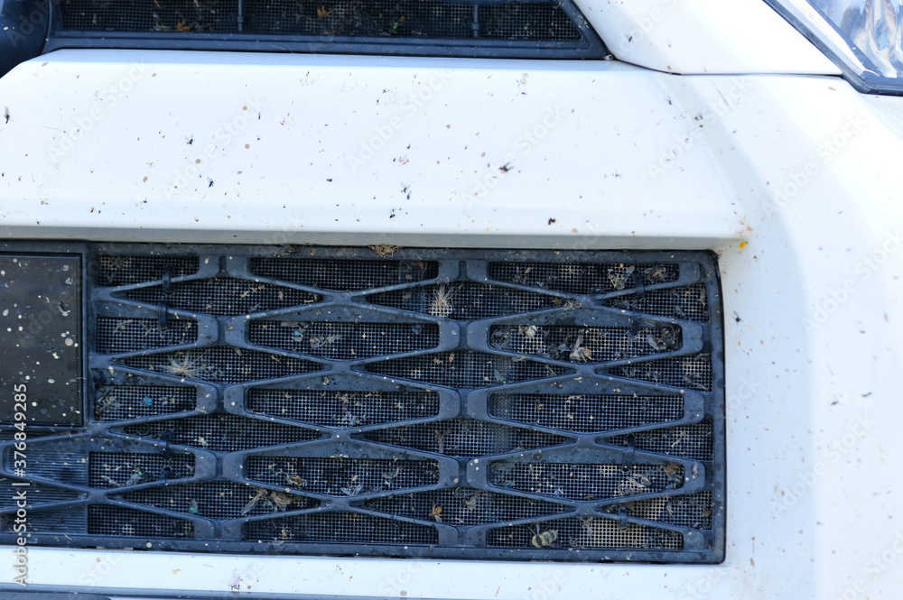 Bugs and flies crashed and stuck in grille of car radiator Stock-Foto ...