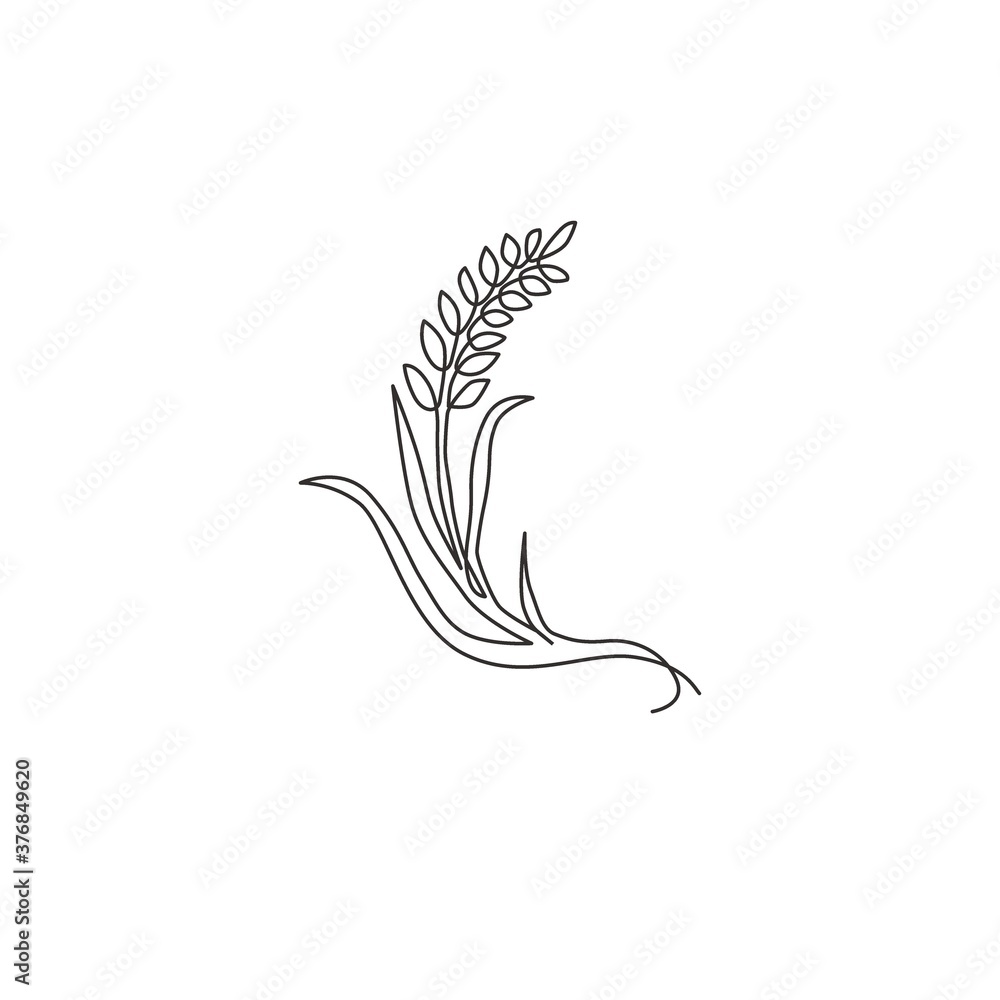 One single line drawing of whole healthy organic wheat grain for farm ...