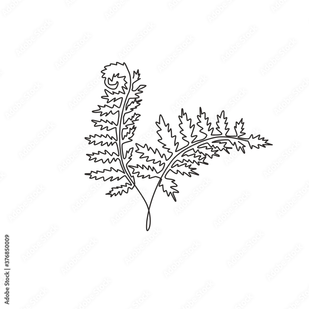 Single continuous line drawing of cute tropical leaves fern plant ...