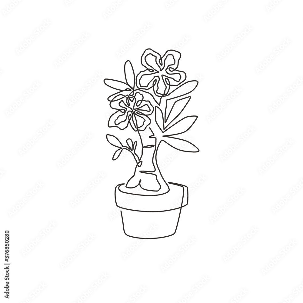 One Single Line Drawing Of Fresh Beauty Potted Adenium For Garden Logo