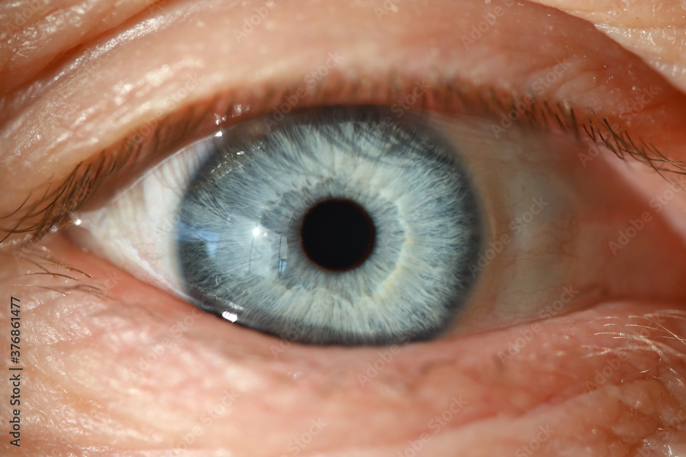 Blue human eye with black pupil closeup. Computer vision diagnostics ...