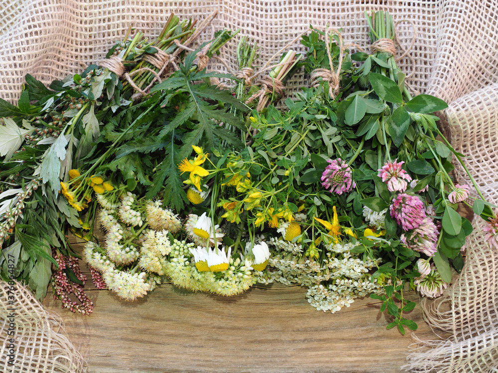 Bundles of different drug herbs on the table, top view. Plants ...