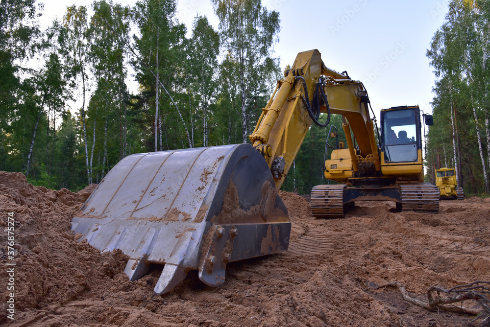 Excavator clearing forest for new development and road work. Backhoe ...