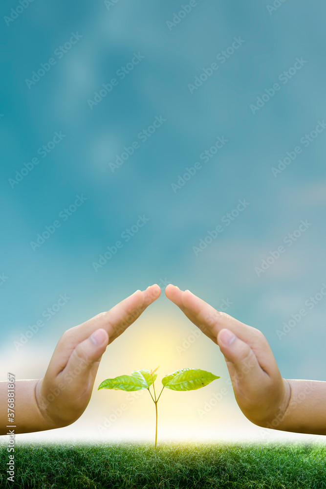 Renewable energy concept Earth Day or environment protection Hands ...