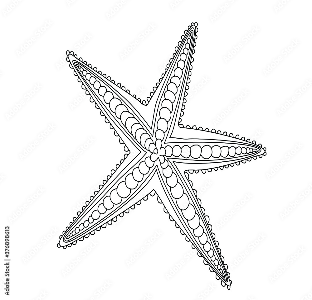 Starfish hand drawn marine nature ocean aquatic underwater vector ...