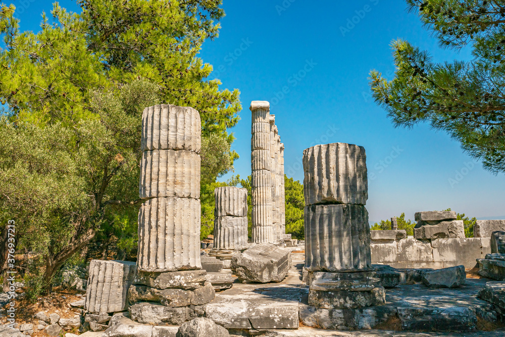Priene was an ancient Greek city of Ionia located at the base of an ...