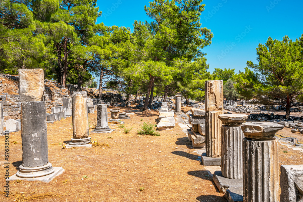 Priene was an ancient Greek city of Ionia located at the base of an ...