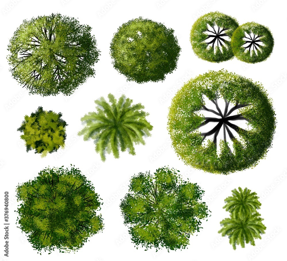 Set of watercolor tree top view for landscape plan and architecture ...