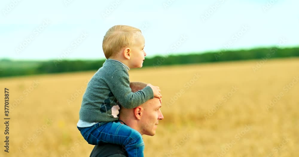 Kid sits on dad's shoulders, walking with dad in a wheat field. Happy ...