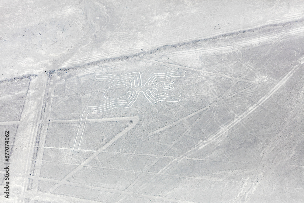 Nazca lines from the aircraft Stock Photo | Adobe Stock
