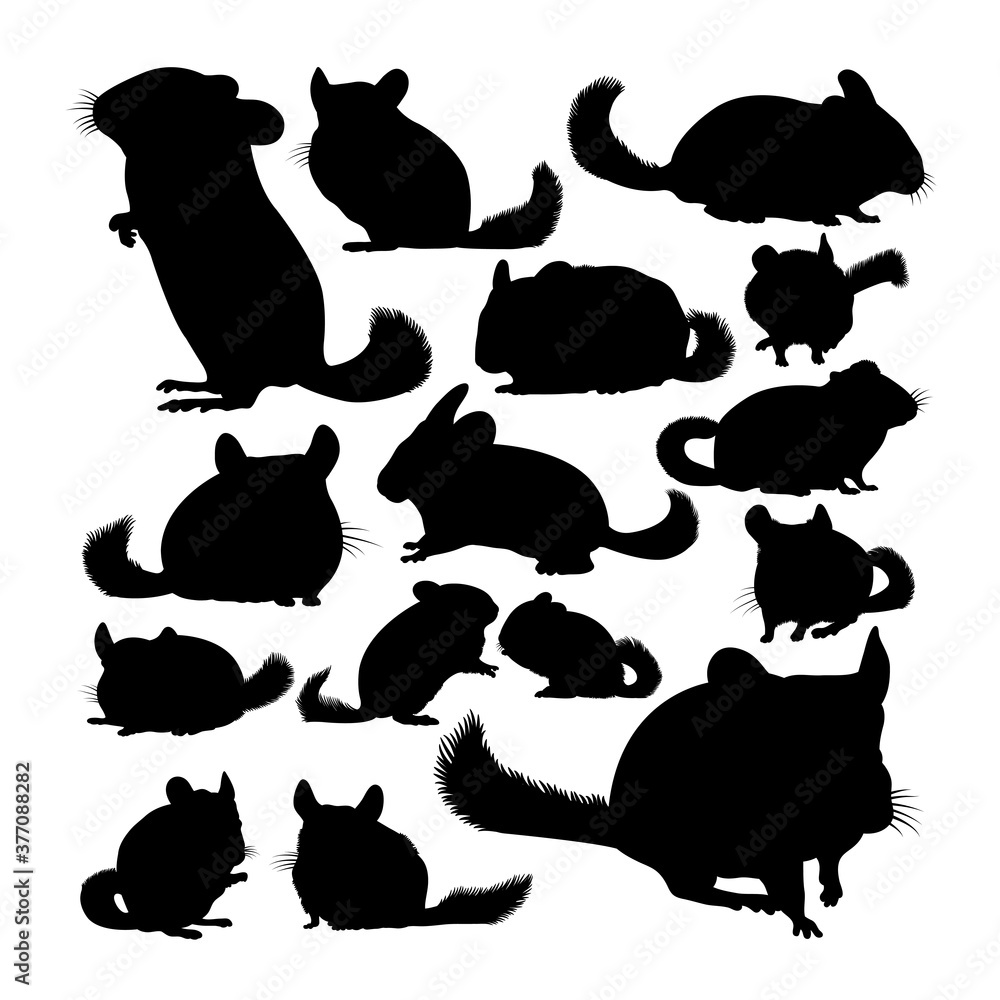 Chinchilla animal silhouettes. Good use for symbol, logo, web icon ...