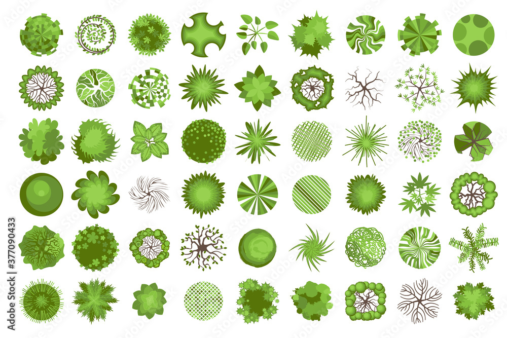 Trees top view. Different plants and trees vector set for architectural ...