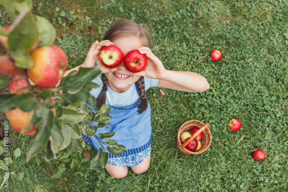 Apples for Children. Apples Eyes Kid. Apple Harvest. Little girl in ...