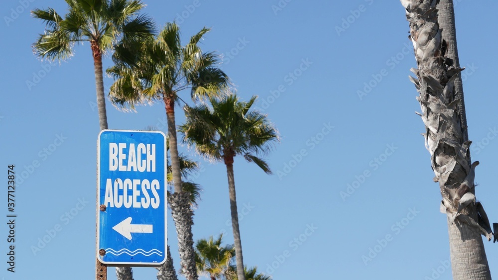Beach sign and palms in sunny California, USA. Palm trees and seaside ...