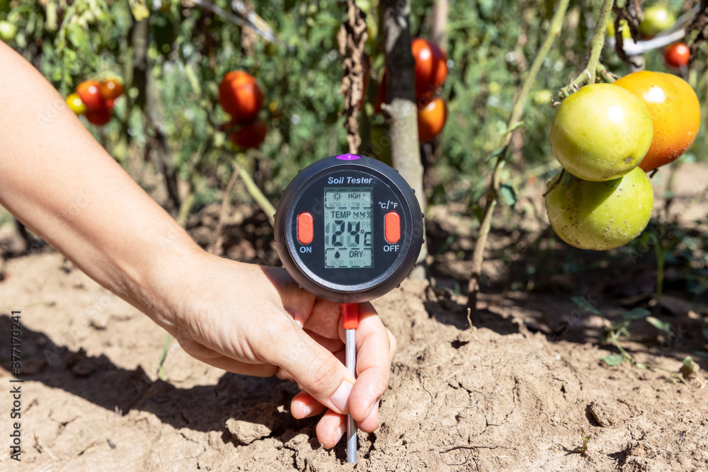 Measuring temperature, moisture content of the soil, environmental ...