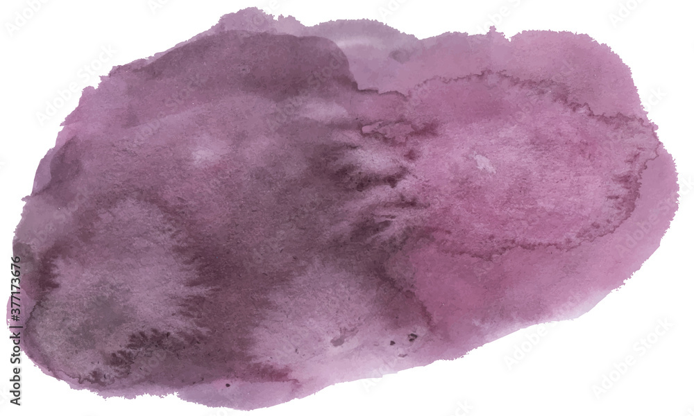 Abstract watercolor violet shapes on white background. Color splashing ...