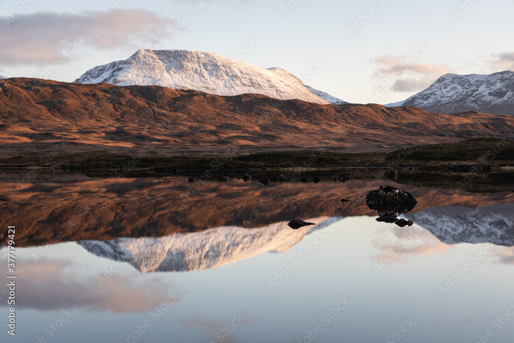 Rannoch Moor detail Stock Photo | Adobe Stock
