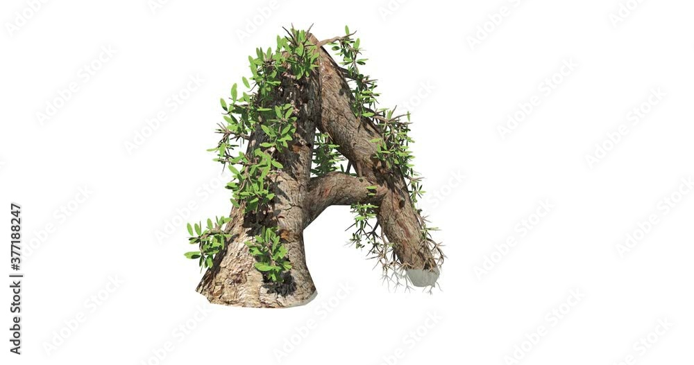 Tree growth animation concept creating the Letter A. Tree growing to ...