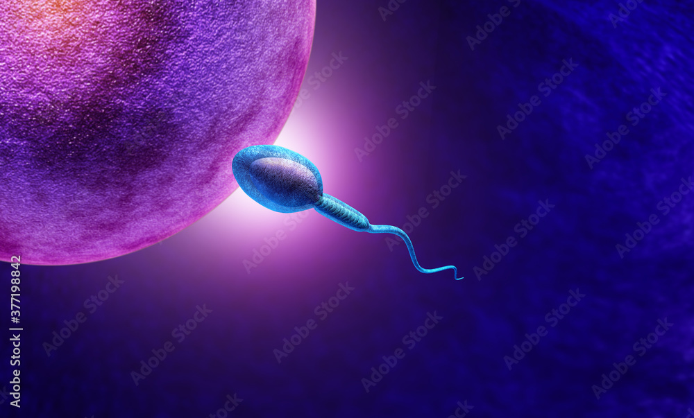 Fertility Stock Illustration | Adobe Stock