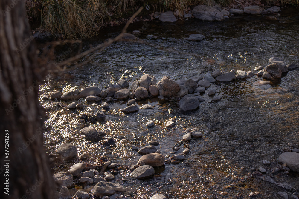Río natural con piedras y árboles Stock Photo | Adobe Stock