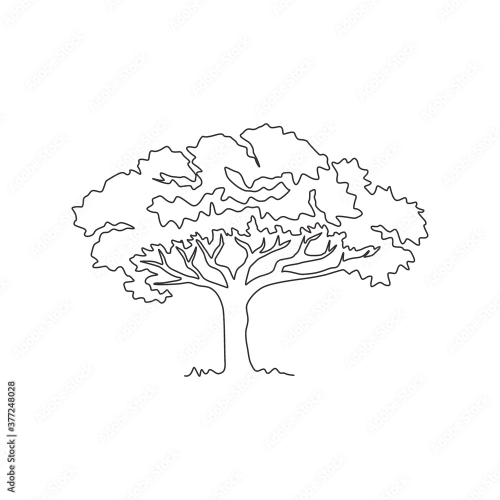 Single one line drawing of exotic and beauty marula tree. Decorative ...