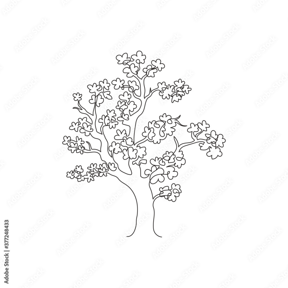 One continuous line drawing of beauty cherry blossom tree for home art ...