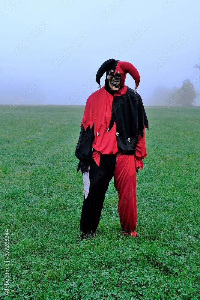 Halloween.Scary Jester Costume.Creepy clown in a skull mask in a in ...