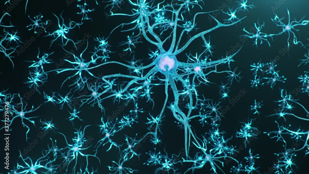 Animation neurons in the brain.Synapse and Neuron cells sending ...