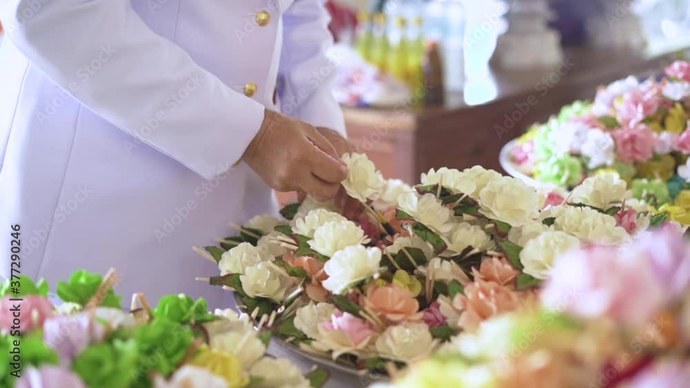 Chan flower, the flower used in the ceremony of the dead according to ...