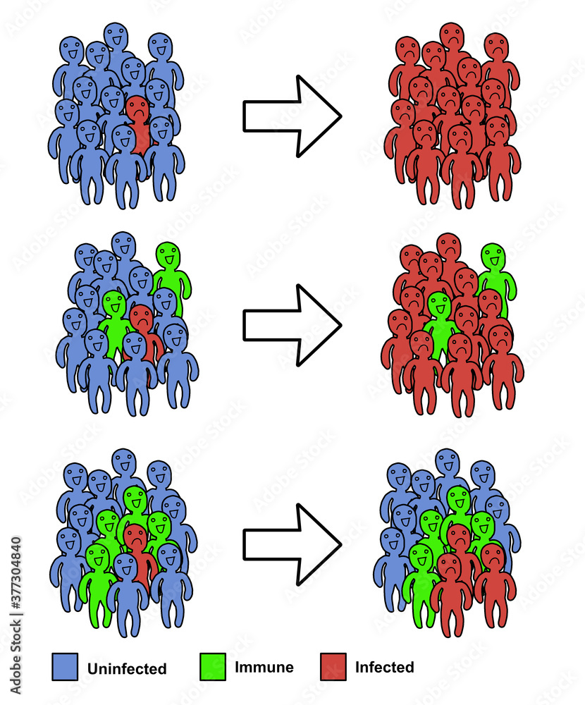 Diagram showing herd immunity in action in group of people. 2d hand ...