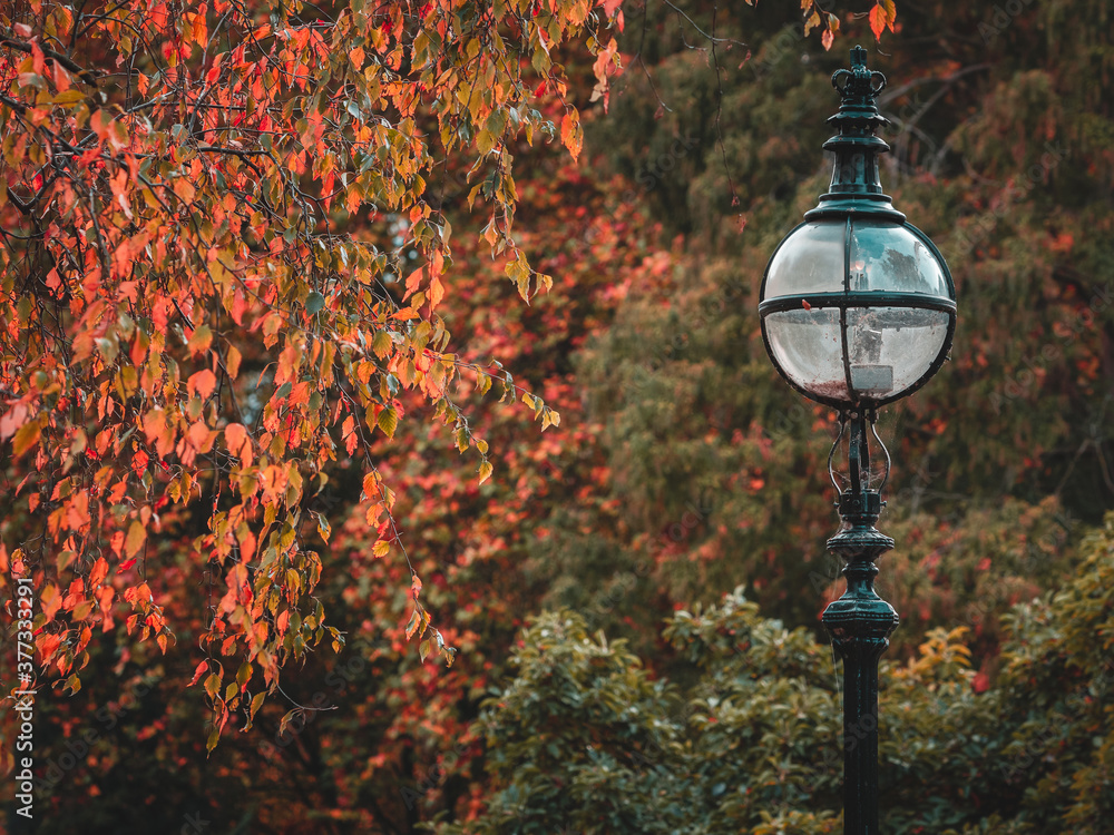 Autumnal, fall colors in London park. Park lantern surrounded by Orange ...