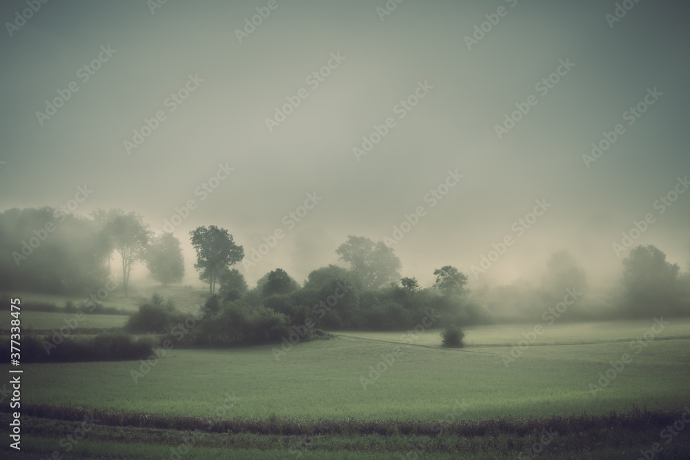 Foggy dark landscape, sad feelings in the nature. Background with soft ...