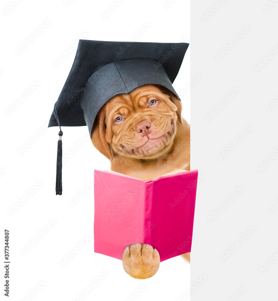 Graduated dog with open book looks from behind empty board. isolated on ...