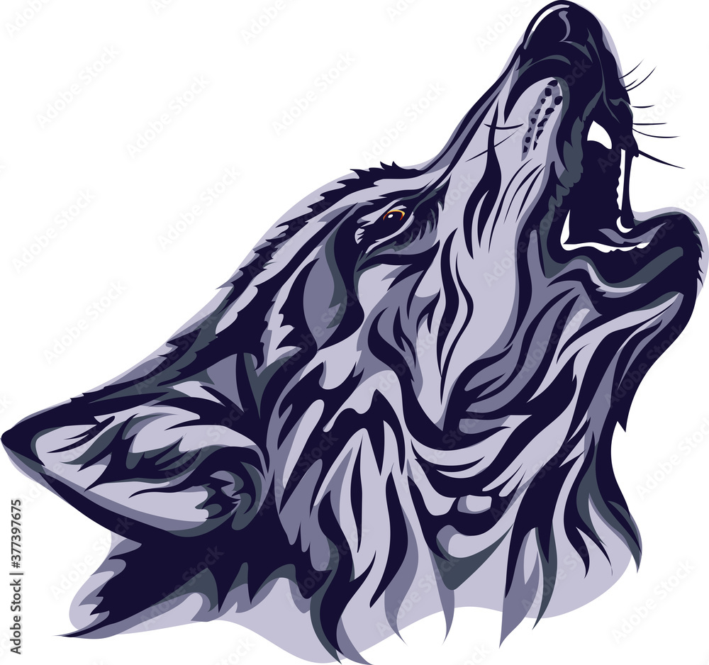 Wolf, portrait, white, black, color, vector, graphics, drawing, picture ...