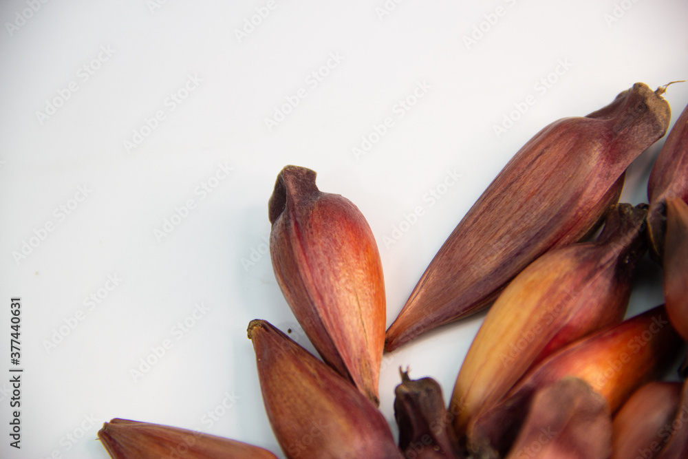 Pinhão, pinion, fruto do pinheiro, árvore brasileira Araucária, em cima ...