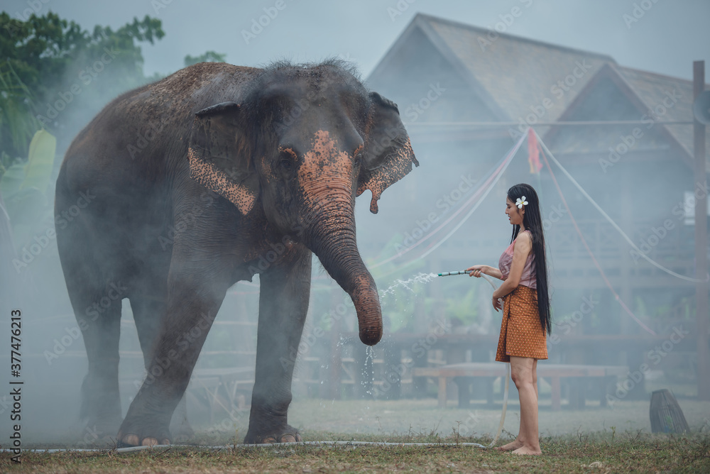 Asian elephants and beautiful women in Thai national costumes play in ...