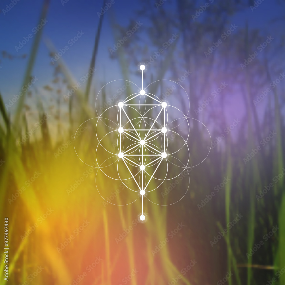 Flower of life sacred geometry illustration with intelocking circles ...