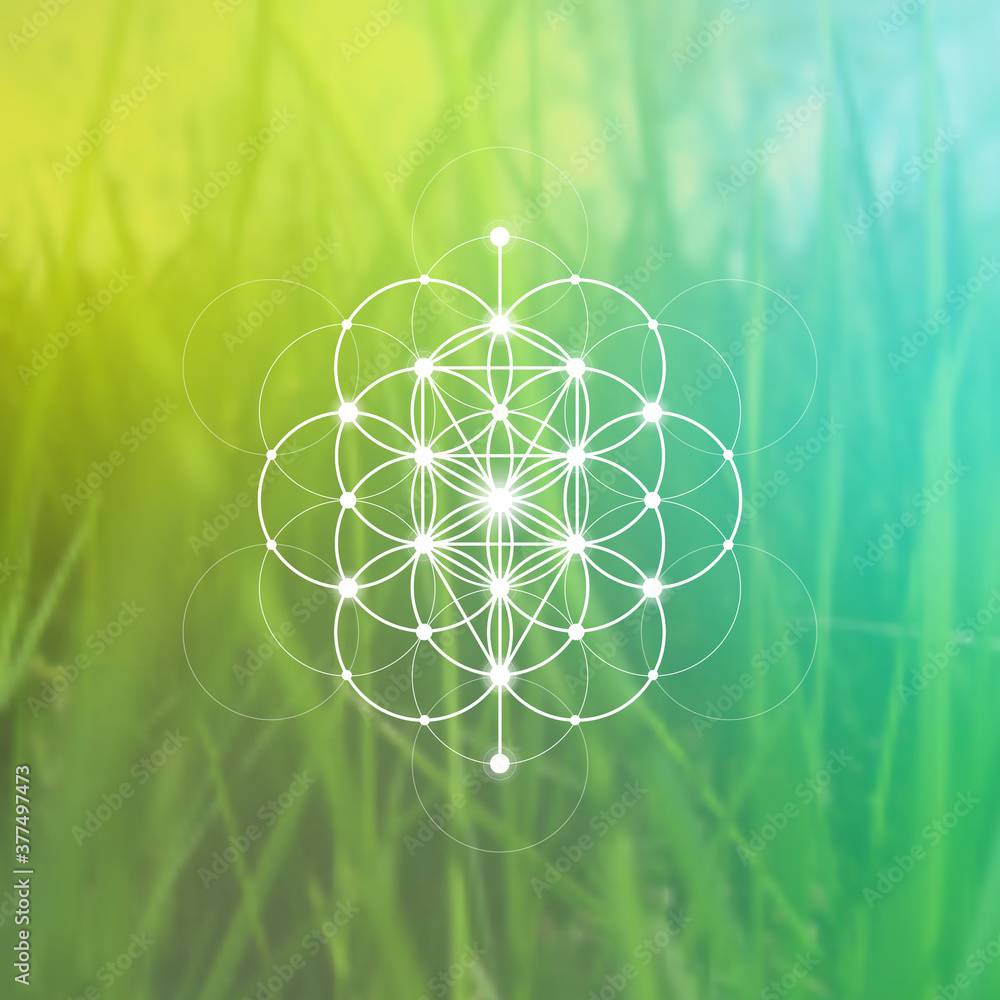 Flower of life sacred geometry illustration with intelocking circles ...