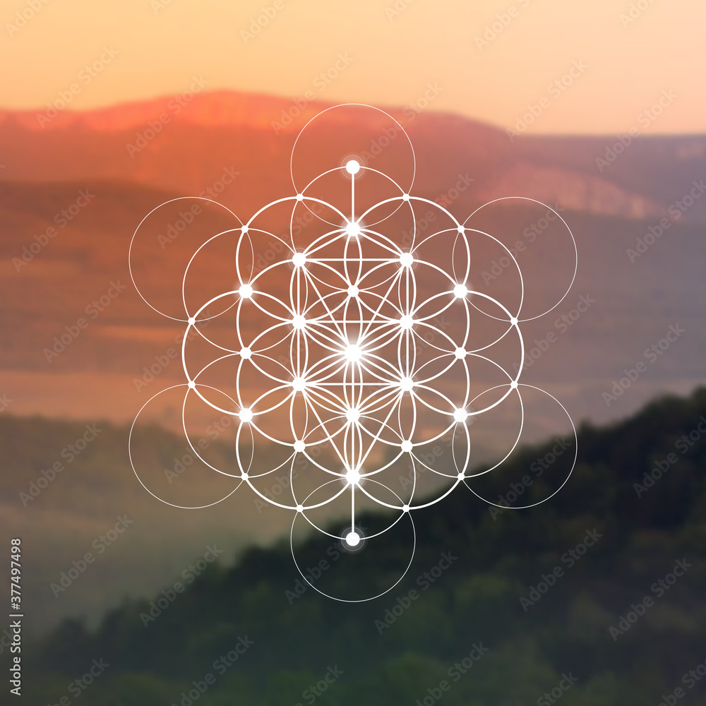 Flower of life sacred geometry illustration with intelocking circles ...