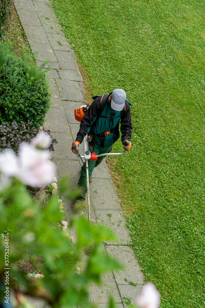 Worker cutting weeds with a brushcutter Stock Photo | Adobe Stock