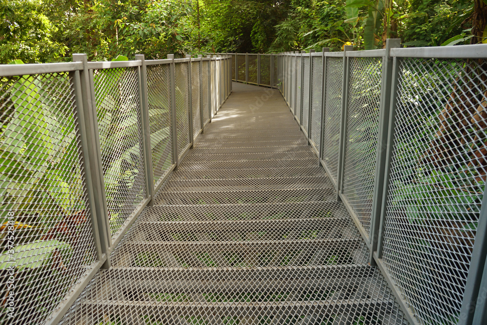 Canopy walkway, A walk in the treetops at Queen Sirikit Botanical ...