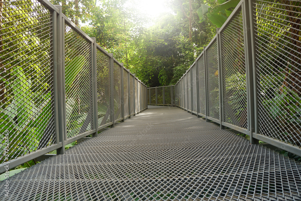 Canopy walkway, A walk in the treetops at Queen Sirikit Botanical ...