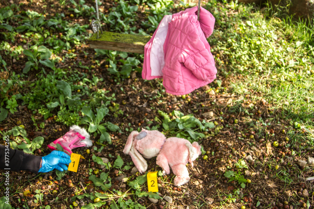 forensic investigations into the kidnapping of children on a swing in ...
